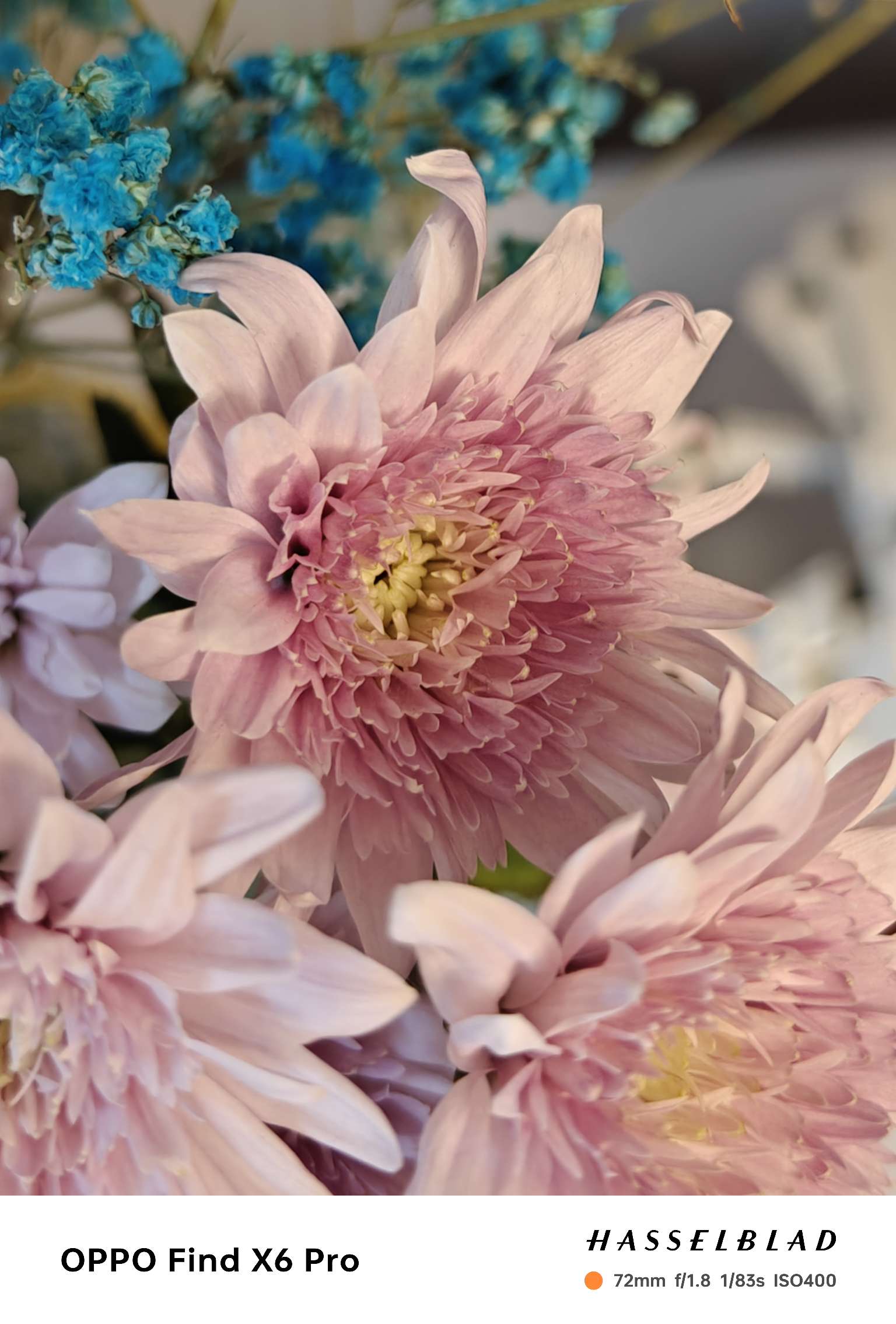 商品详情评论图片